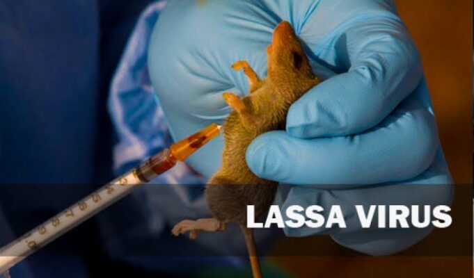 Lassa fever deaths rise to 214 as fatality rate hits 25.0 % - TheStar