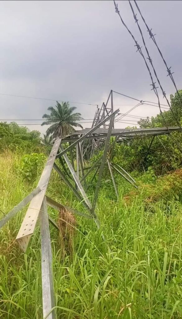 TCN begins reconstruction of collapsed towers on Kainji-Birnin Kebbi line - TheStar