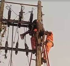 Man cutting transformer cable electrocuted in Edo