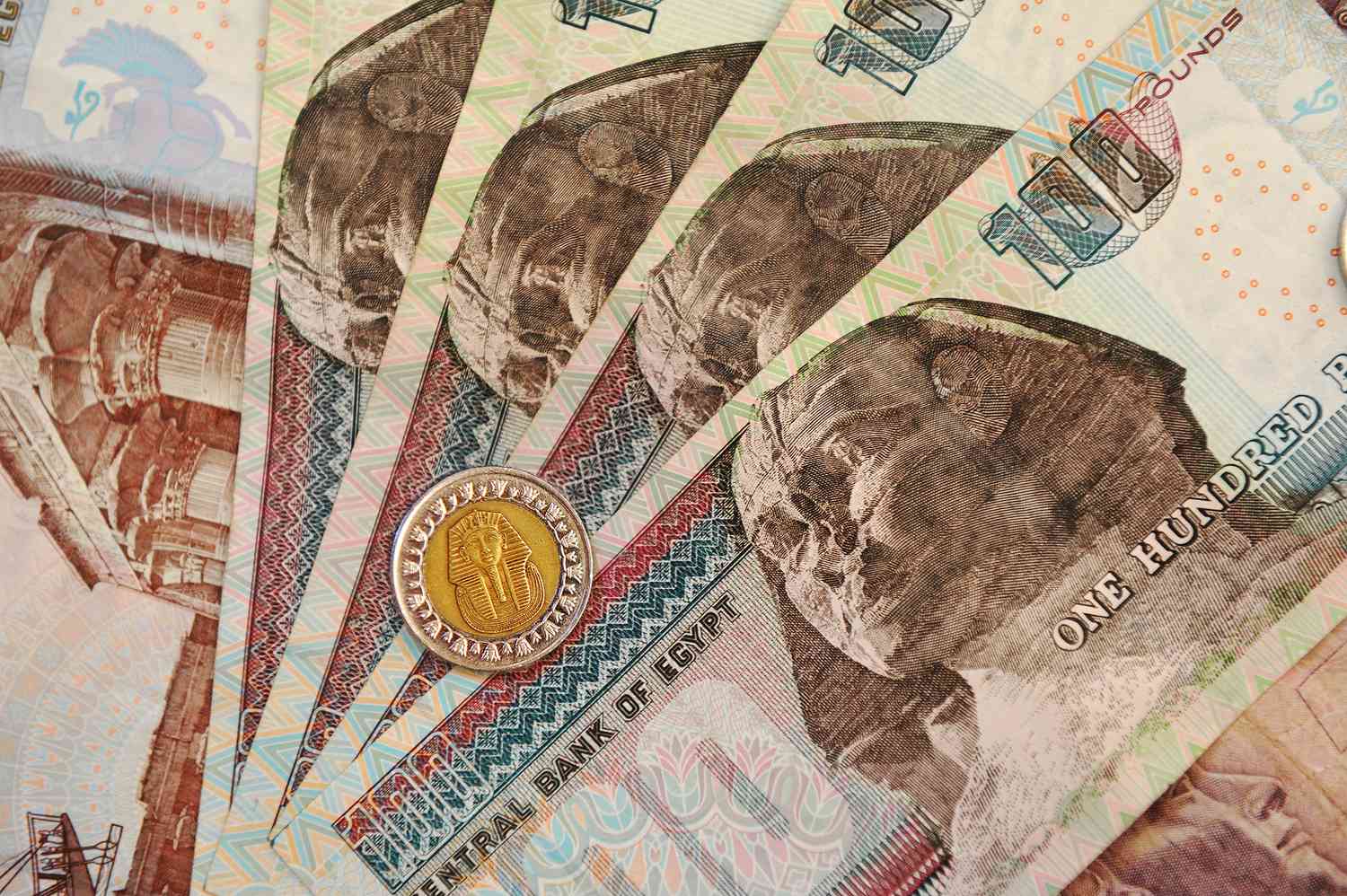 Egypt raises interest rate by 600 bps as currency falls