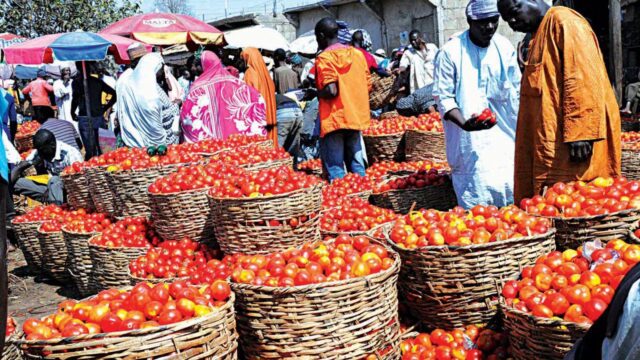 Tomato farmers forecast price hike after Ramadan - TheStar