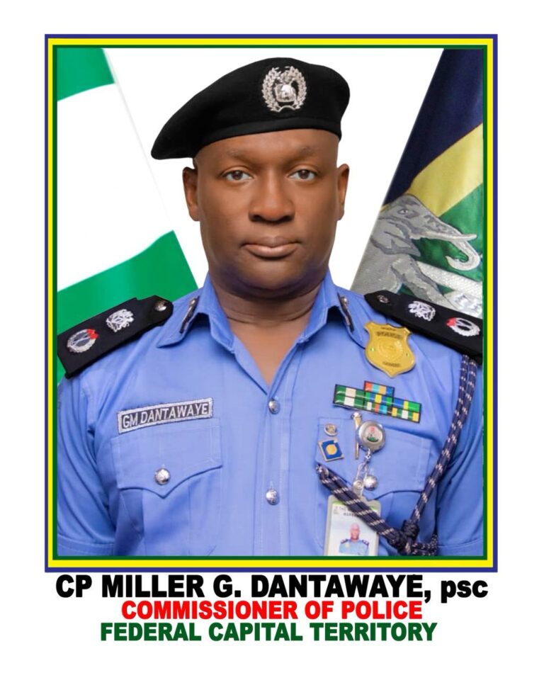 FCT gets new commissioner of police - TheStar