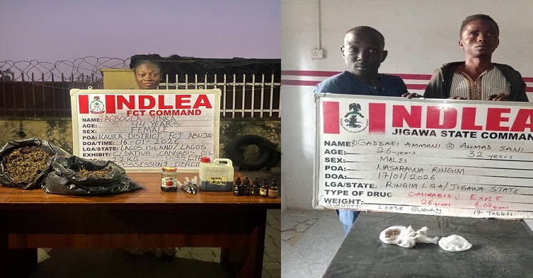 One officer injured as NDLEA nabs woman, 26-year-old ex-convict for ...